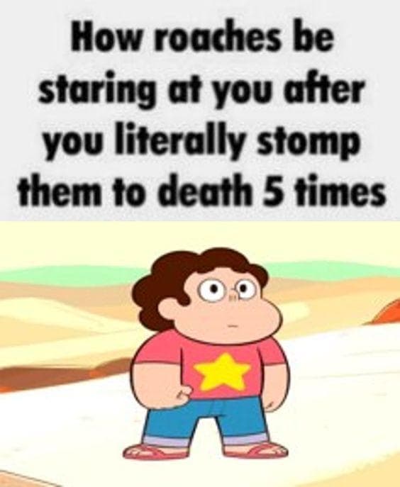 The 24 Funniest 'Steven Universe' Memes, Ranked