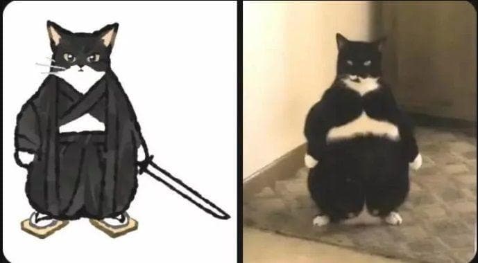 The 24 Funniest Ninja Memes, Ranked