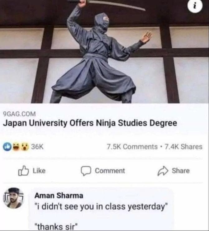 The 24 Funniest Ninja Memes, Ranked