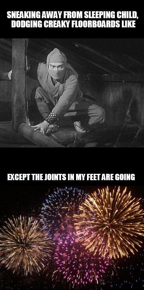 The 24 Funniest Ninja Memes, Ranked