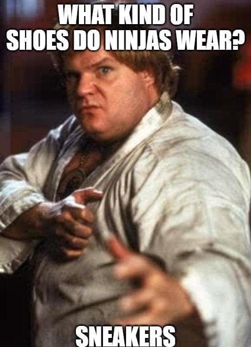 The 24 Funniest Ninja Memes, Ranked