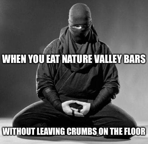 The 24 Funniest Ninja Memes, Ranked
