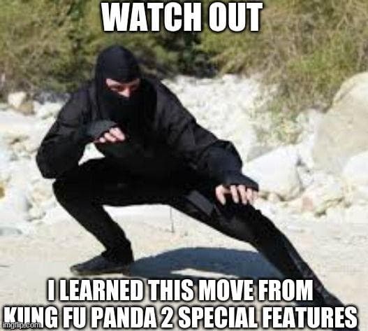 The 24 Funniest Ninja Memes, Ranked