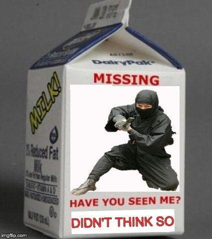 The 24 Funniest Ninja Memes, Ranked