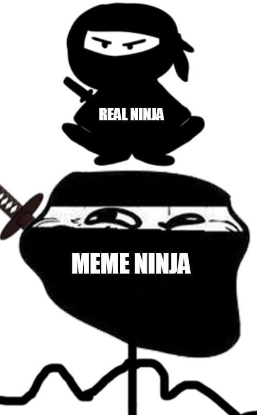 The 24 Funniest Ninja Memes, Ranked