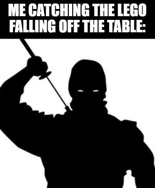 The 24 Funniest Ninja Memes, Ranked