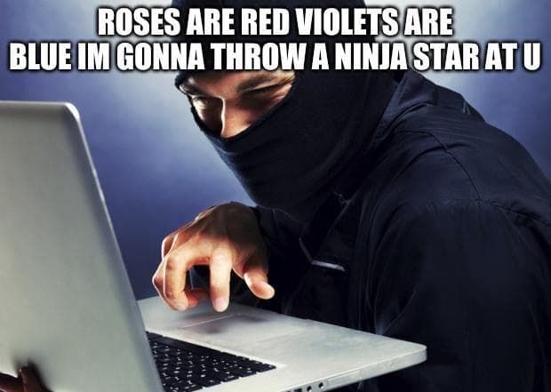 The 24 Funniest Ninja Memes, Ranked