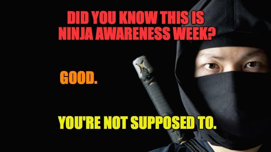 The 24 Funniest Ninja Memes, Ranked