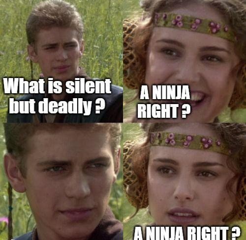 The 24 Funniest Ninja Memes, Ranked