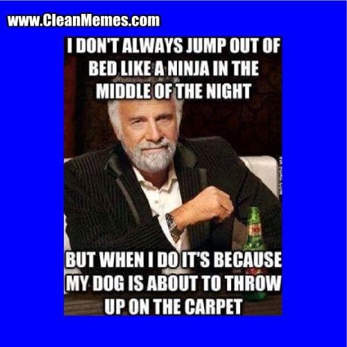 The 24 Funniest Ninja Memes, Ranked