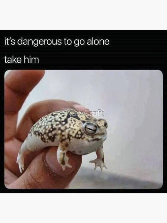 The 20 Funniest Frog Memes, Ranked