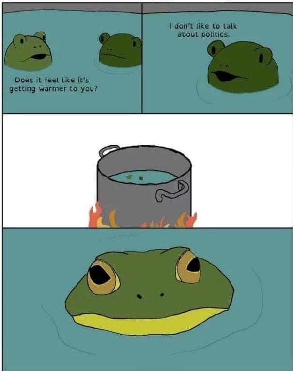 The 20 Funniest Frog Memes, Ranked