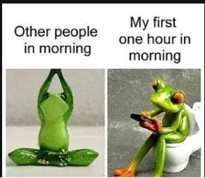 The 20 Funniest Frog Memes, Ranked