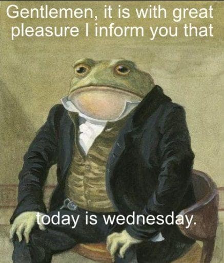 The 20 Funniest Frog Memes, Ranked
