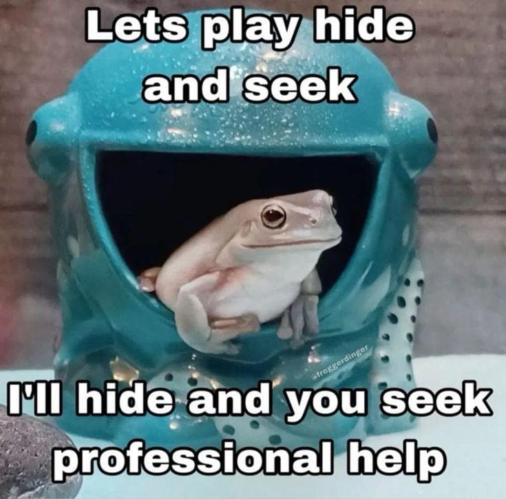 The 20 Funniest Frog Memes, Ranked