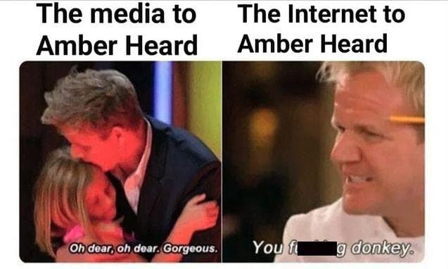 The 14 Funniest Amber Heard Memes, Ranked