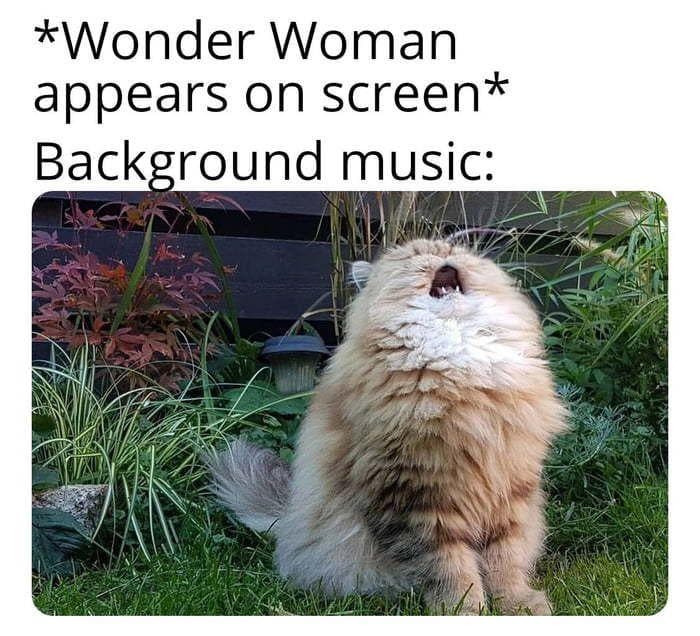 The 20 Funniest Wonder Woman Memes, Ranked