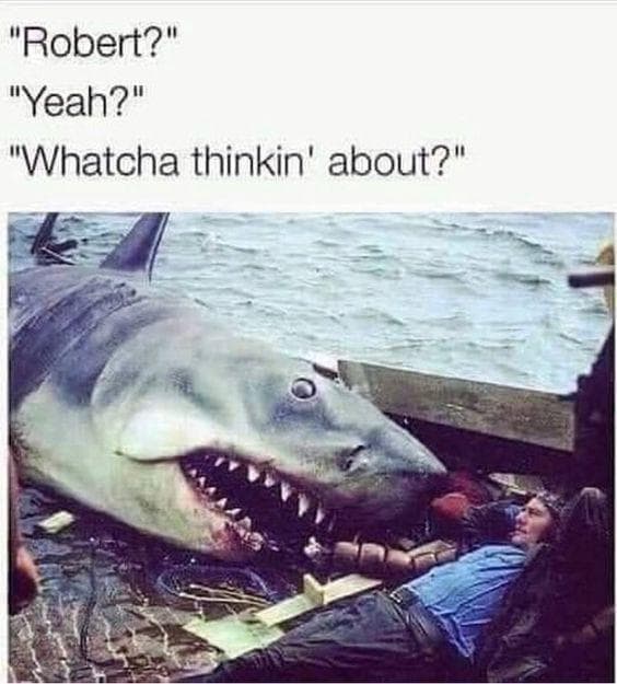 The 22 Funniest 'Jaws' Memes, Ranked