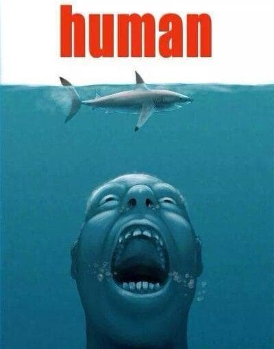 The 22 Funniest 'Jaws' Memes, Ranked