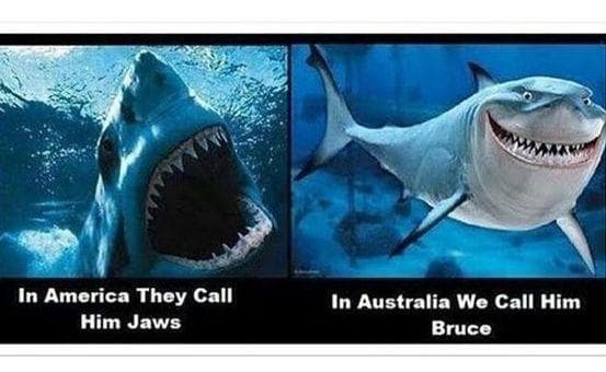 The 22 Funniest 'Jaws' Memes, Ranked