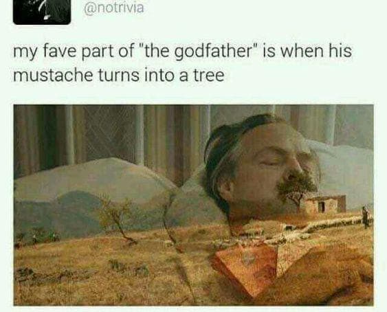 The 24 Funniest 'The Godfather' Memes, Ranked