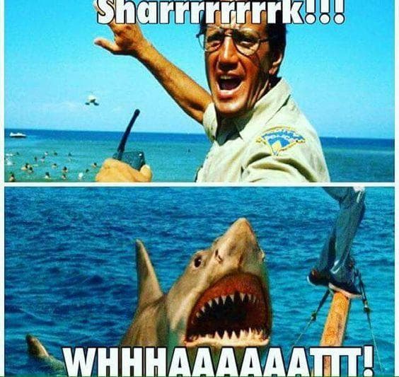 The 22 Funniest 'Jaws' Memes, Ranked