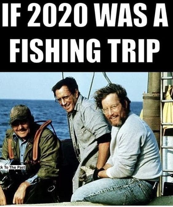 The 22 Funniest 'Jaws' Memes, Ranked