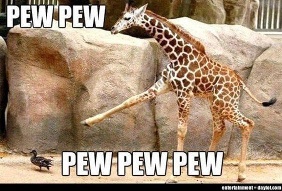 The 28 Funniest Giraffe Memes, Ranked