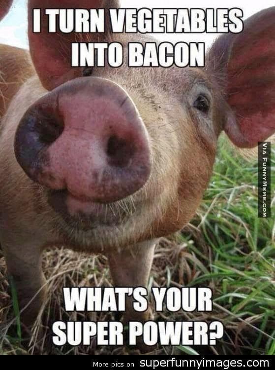The 27 Funniest Pig Memes, Ranked
