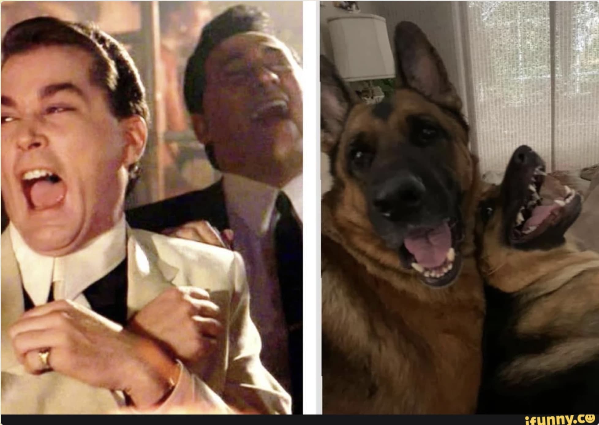 The 28 Funniest 'Goodfellas' Memes, Ranked