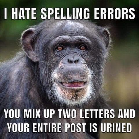 The 29 Funniest Monkey Memes, Ranked