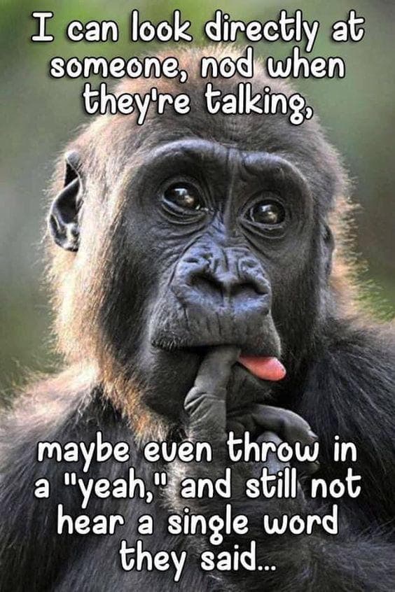 The 29 Funniest Monkey Memes, Ranked