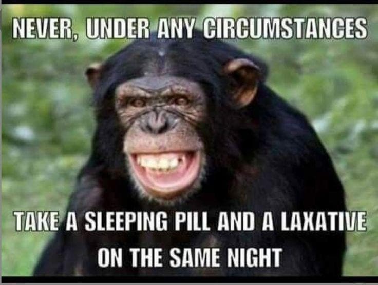 The 29 Funniest Monkey Memes, Ranked