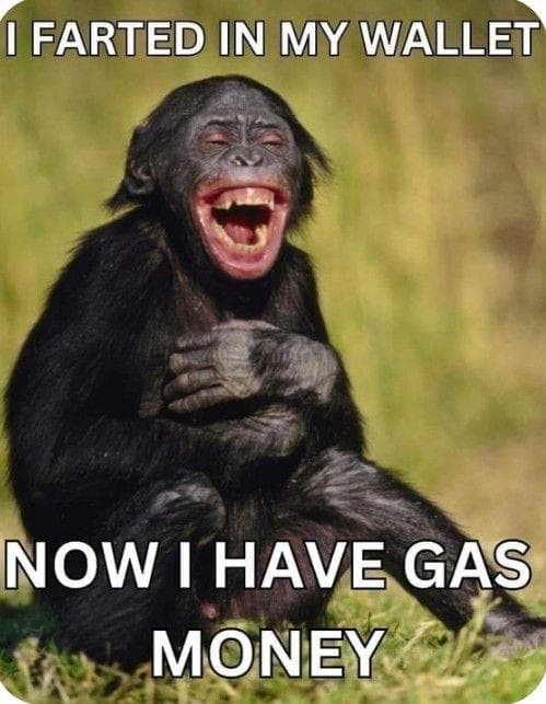 The 29 Funniest Monkey Memes, Ranked