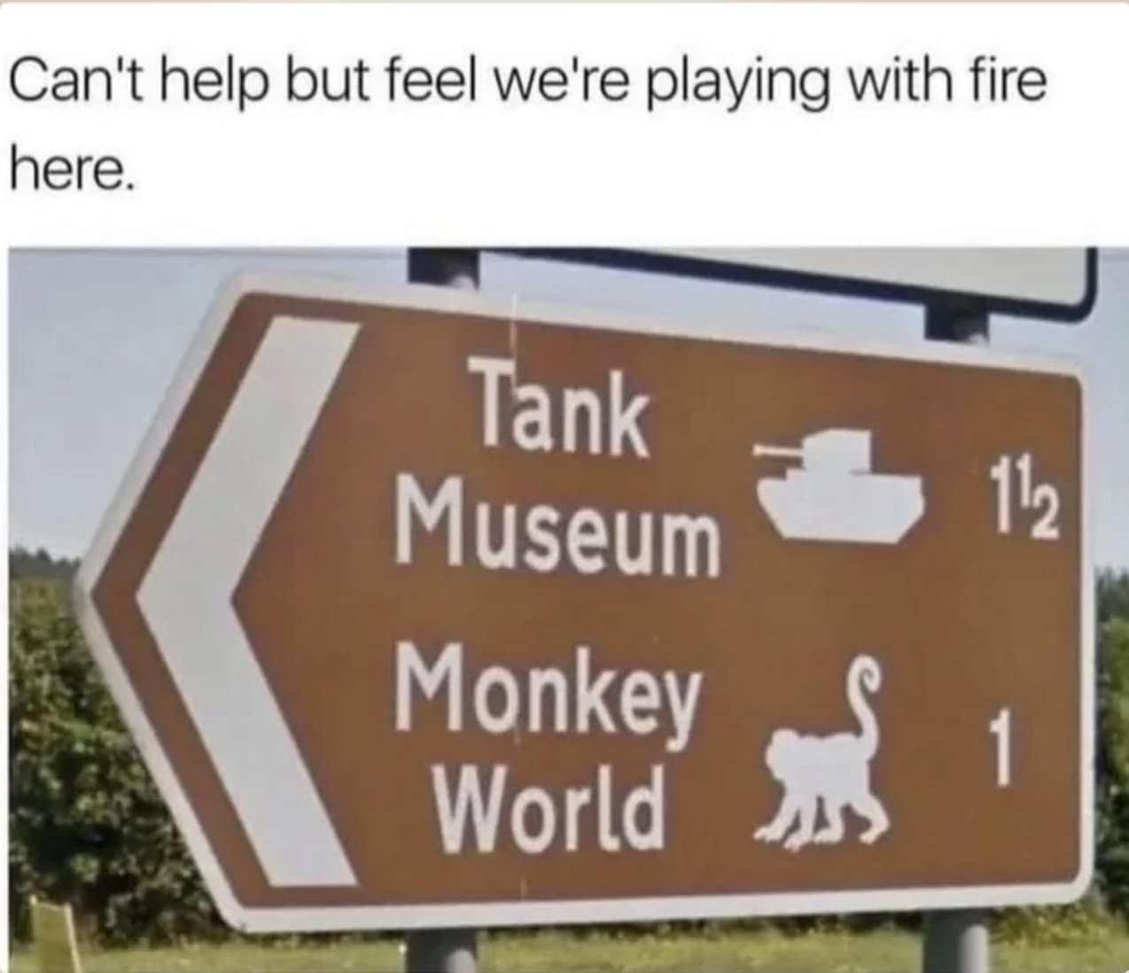 The 29 Funniest Monkey Memes, Ranked