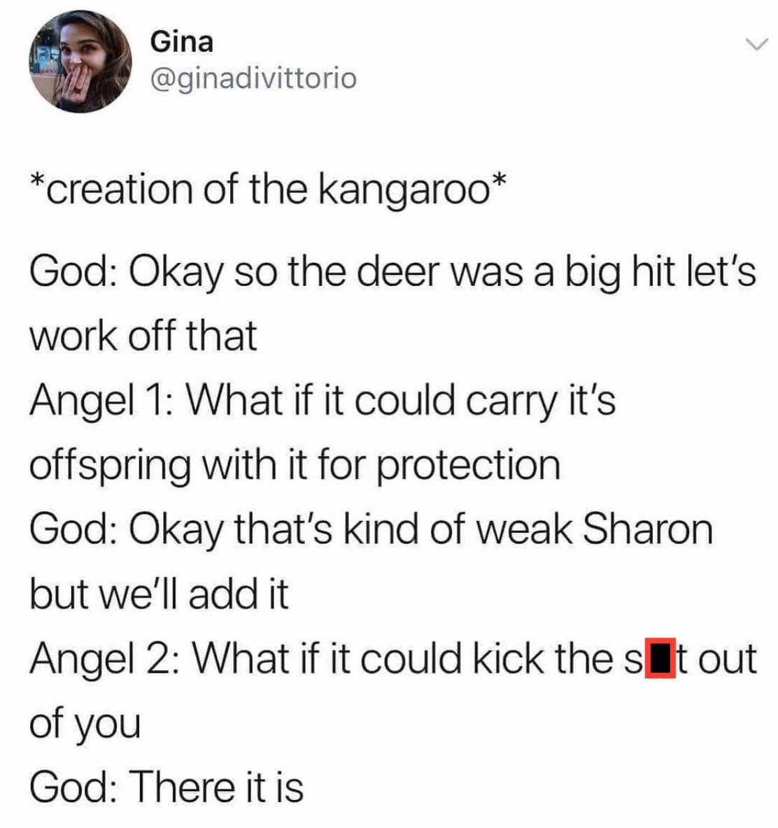 The 23 Funniest Kangaroo Memes, Ranked