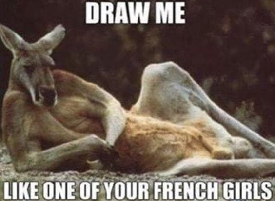 The 23 Funniest Kangaroo Memes, Ranked