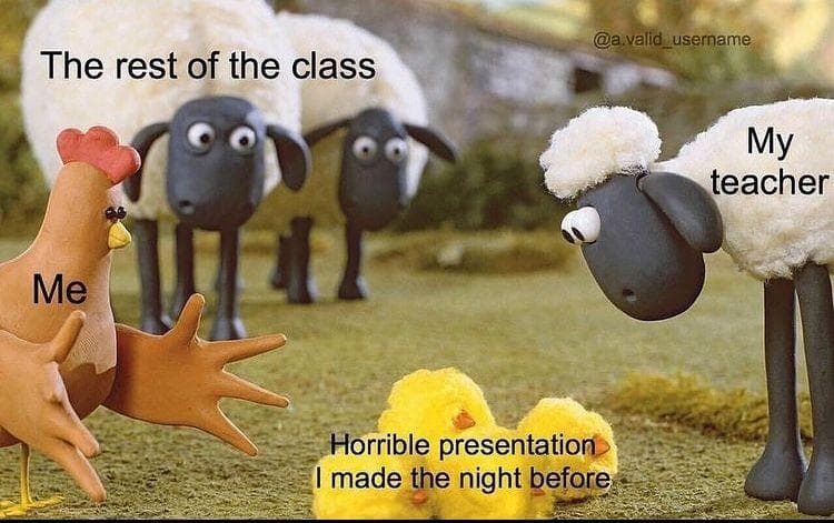 The 29 Funniest Sheep Memes, Ranked