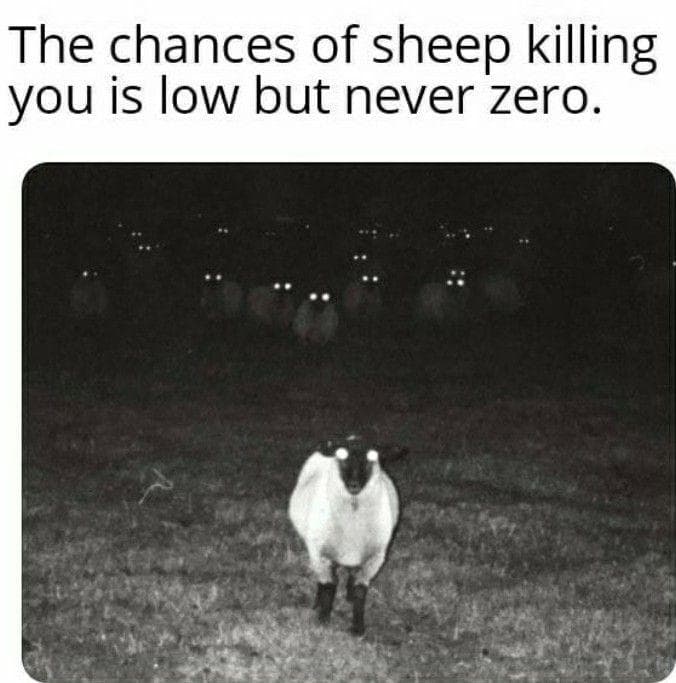 The 29 Funniest Sheep Memes, Ranked