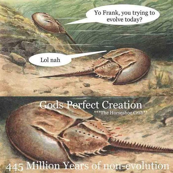The 26 Funniest Crab Memes, Ranked