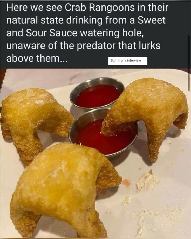 The 26 Funniest Crab Memes, Ranked