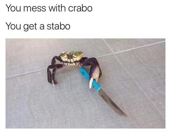 The 26 Funniest Crab Memes, Ranked