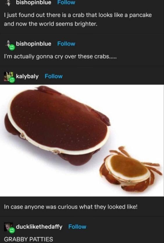 The 26 Funniest Crab Memes, Ranked