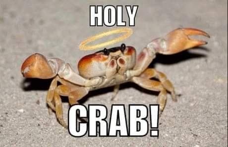 The 26 Funniest Crab Memes, Ranked