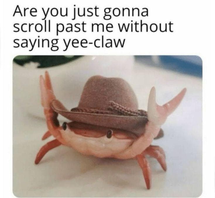 The 26 Funniest Crab Memes, Ranked