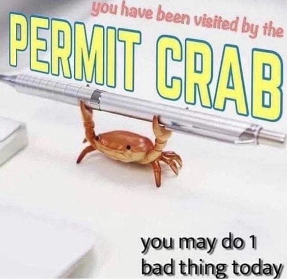 The 26 Funniest Crab Memes, Ranked