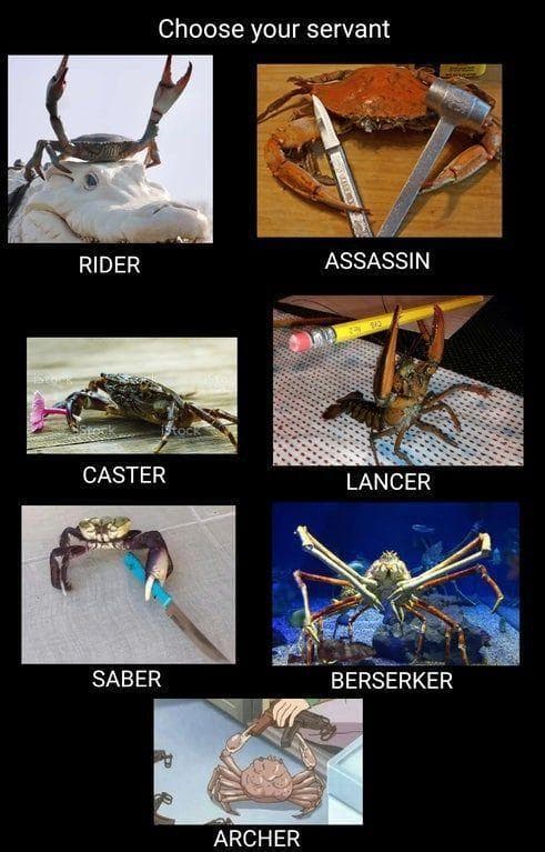 The 26 Funniest Crab Memes, Ranked
