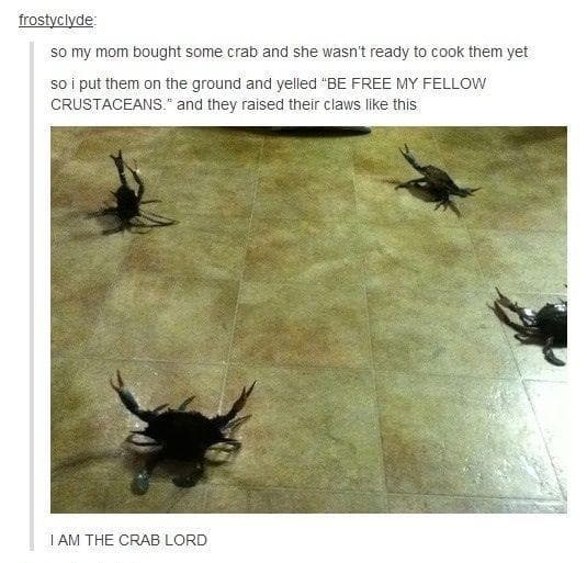 The 26 Funniest Crab Memes, Ranked