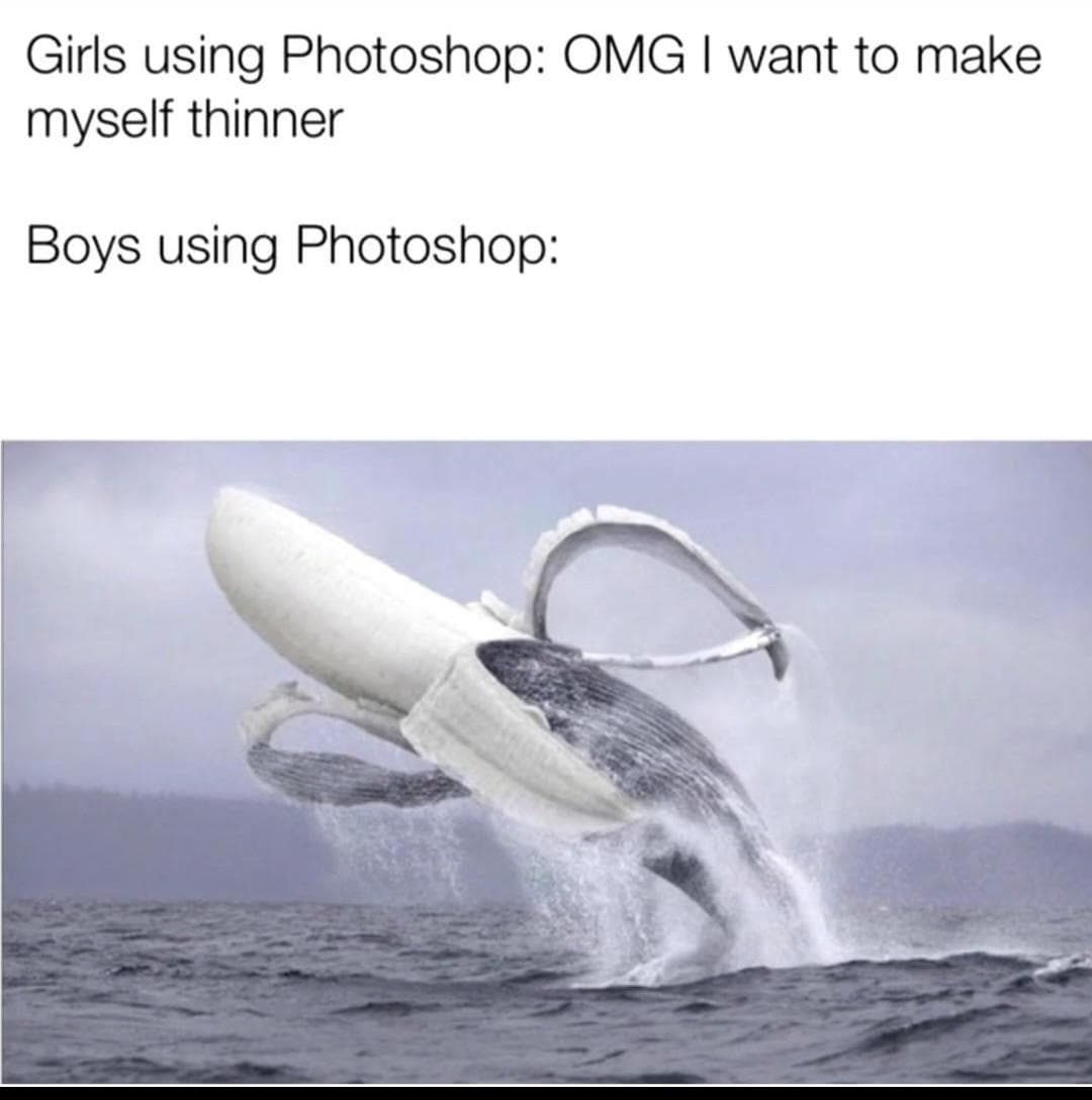 The 25 Funniest Whale Memes, Ranked