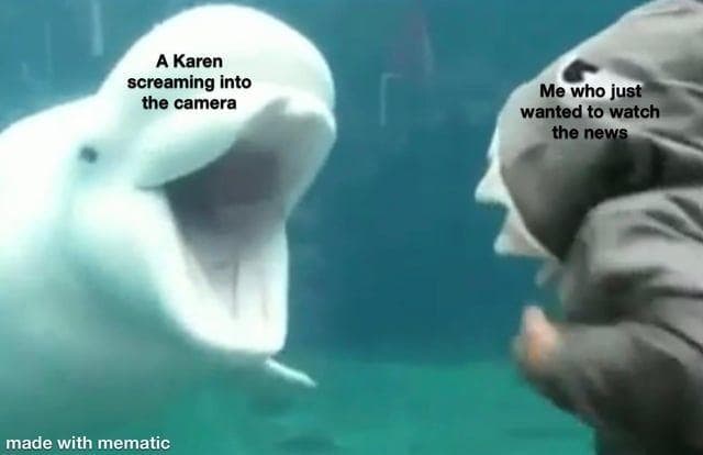 The 25 Funniest Whale Memes, Ranked